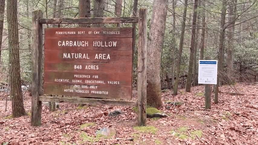 Mini-Grants - South Mountain Partnership