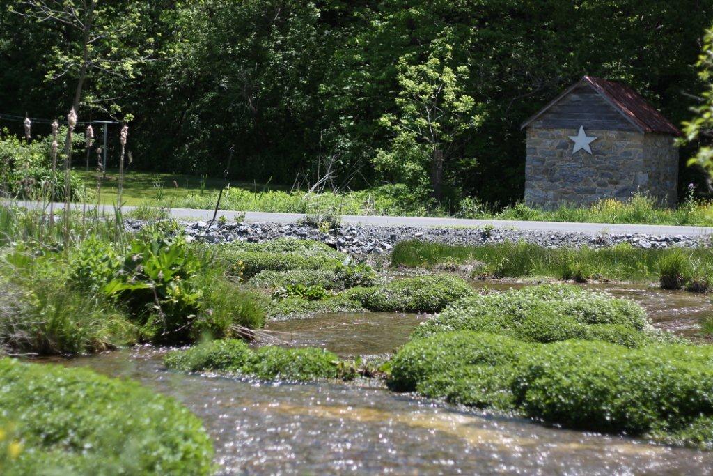 Letort Headwaters Tour: Walking Tour of the Historic Watercress Farm ...